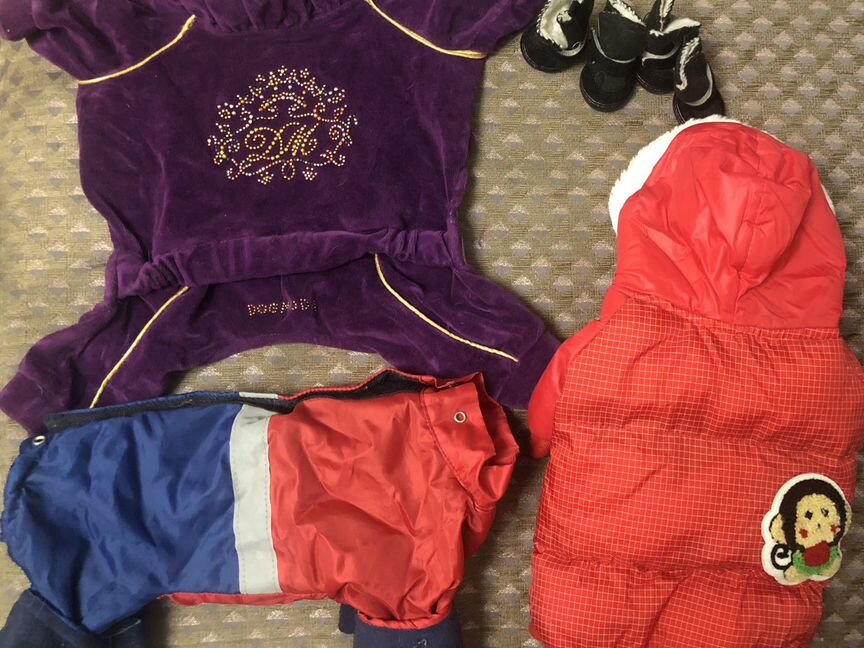 Одежда, обувь и переноска для собак мелких пород