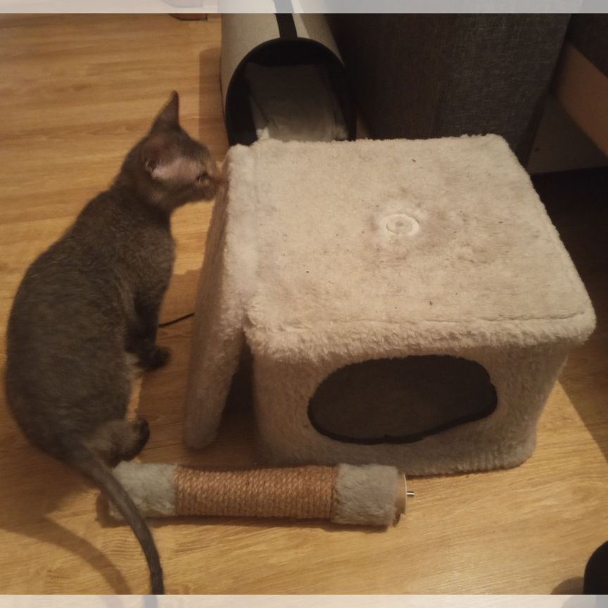 Домик для кота   ёлочка