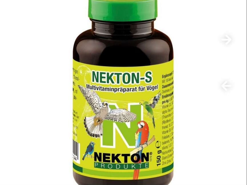 Nekton для птиц