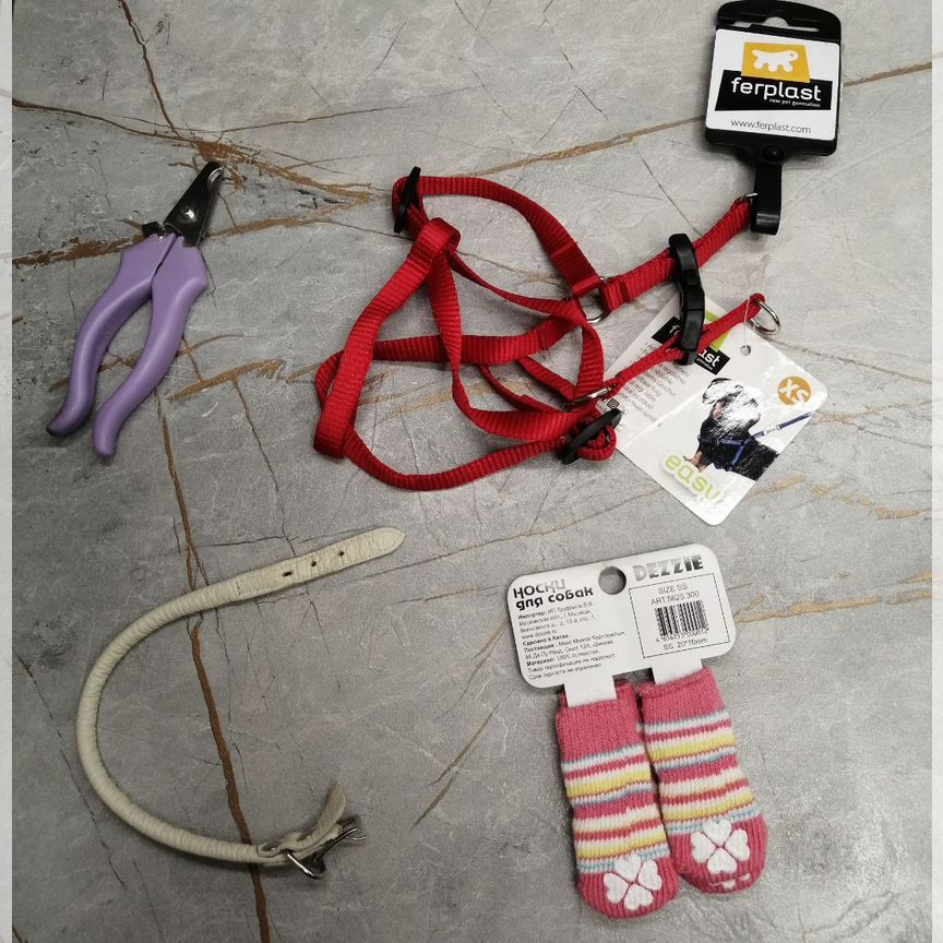 Аксессуары для собак мелких пород