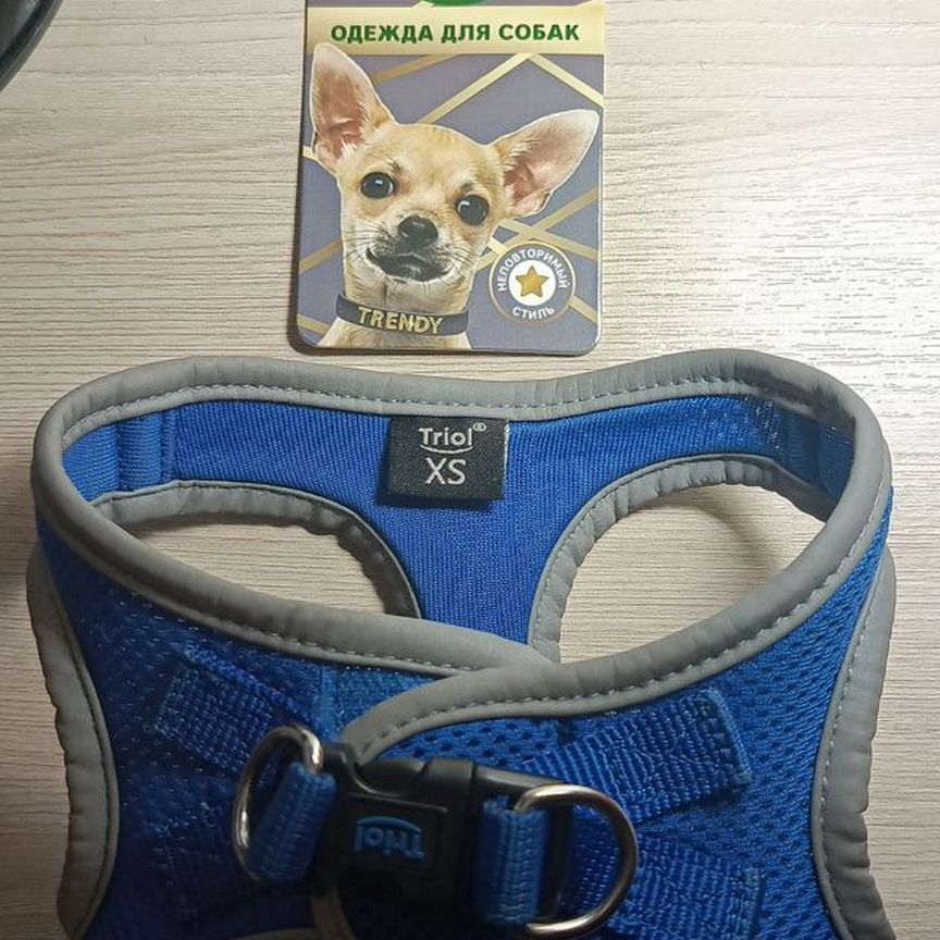 Отдам шлейку-жилетку для собаки