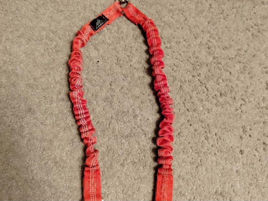 Потяг для бега с собакой