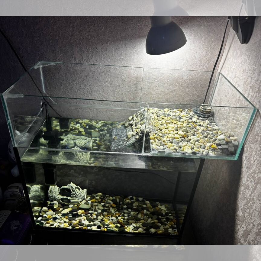 Аквариум черепашник