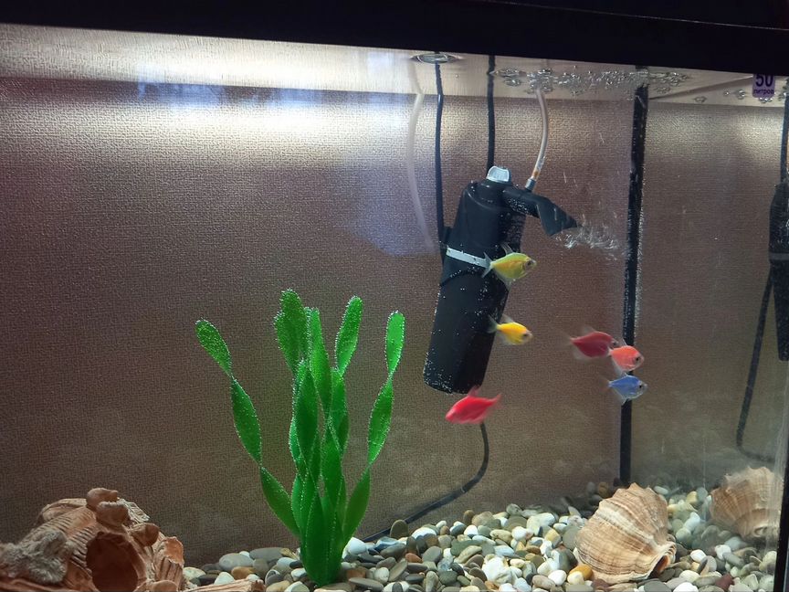 Аквариум с рыбками