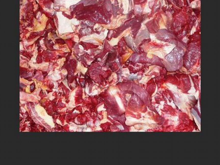 Обрезь мясная говяжья, печень для собак