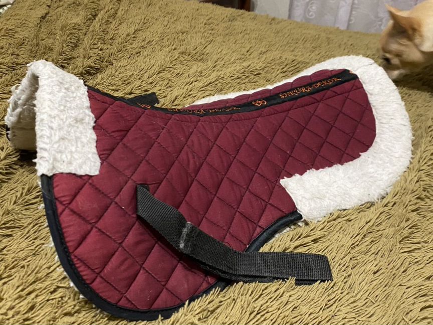 Конная амуниция