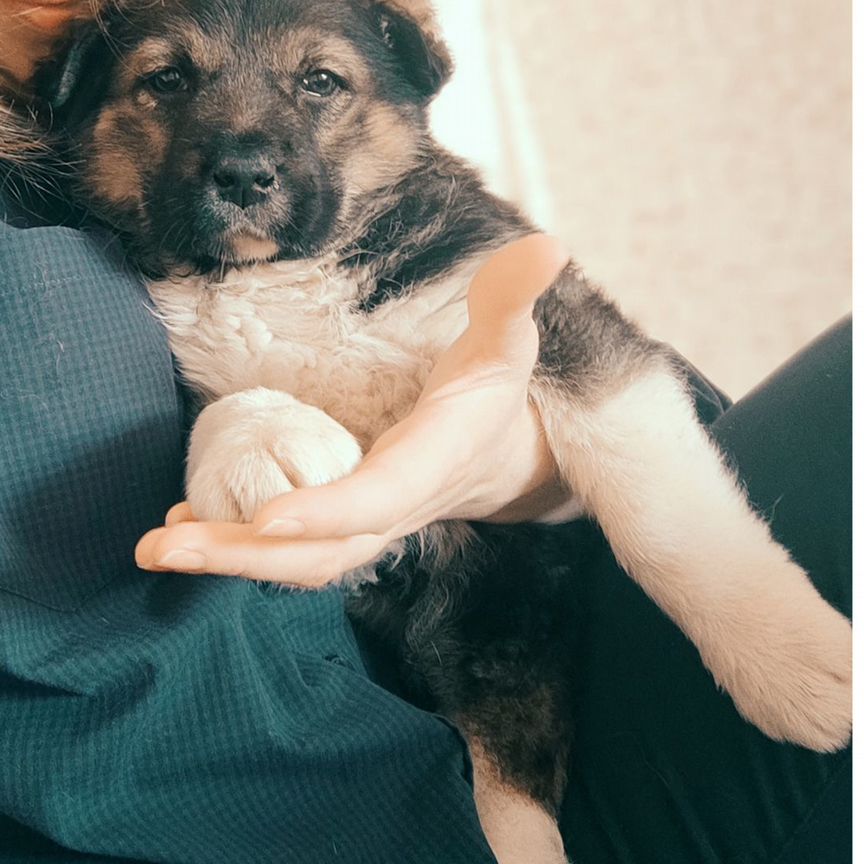 Ждём ответственного