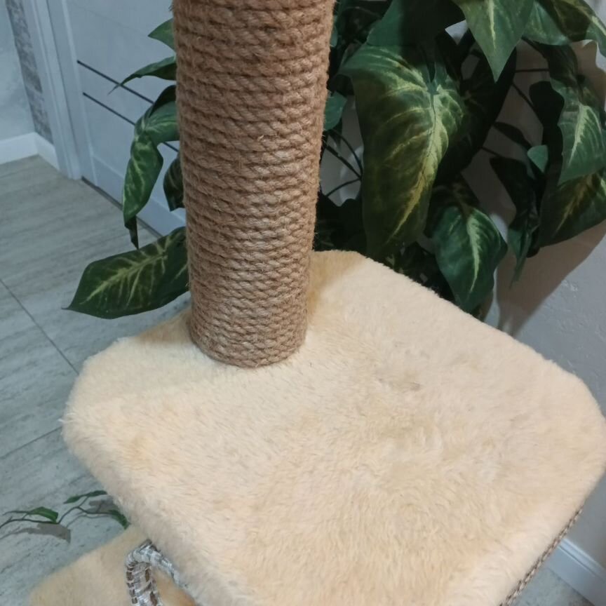 Когтеточка