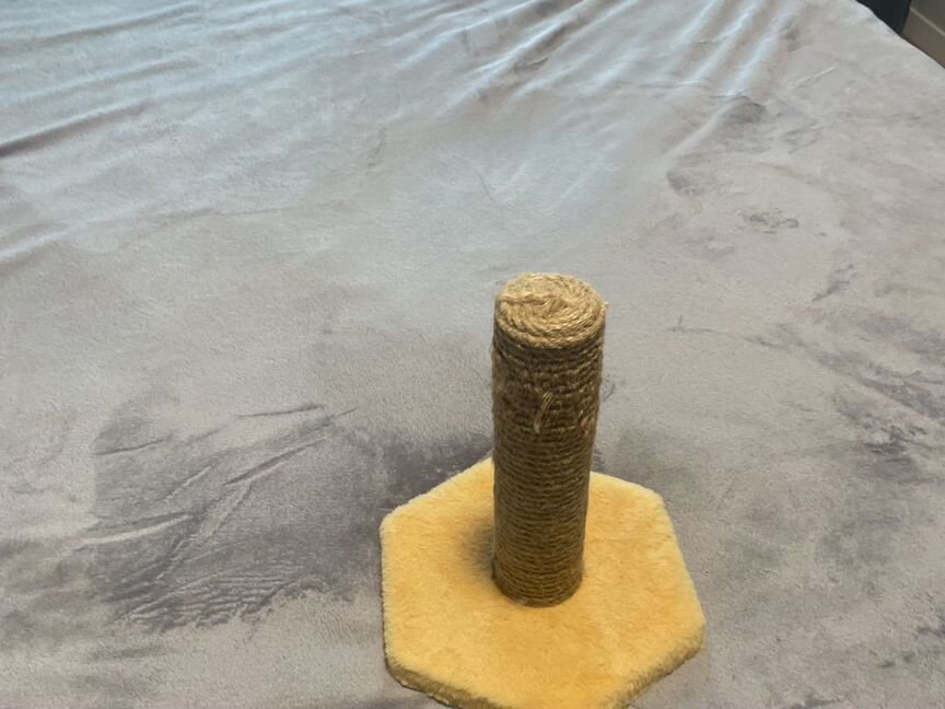 Когтеточка для котят