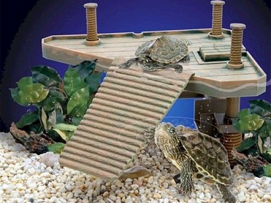 Плавающая платформа для черепахи