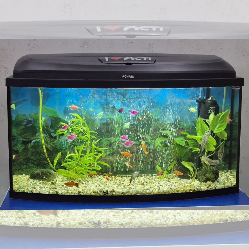 Аквариум