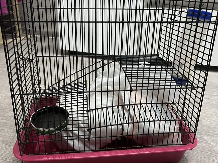 Клетка для грызунов