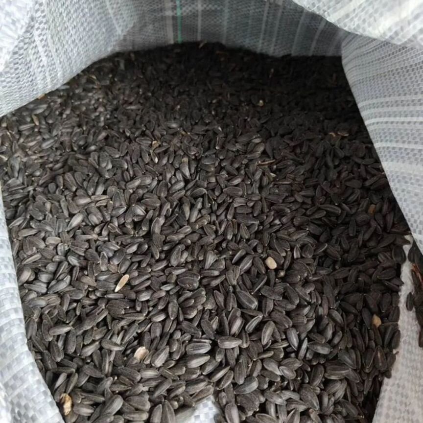 Семечки для птиц 2025