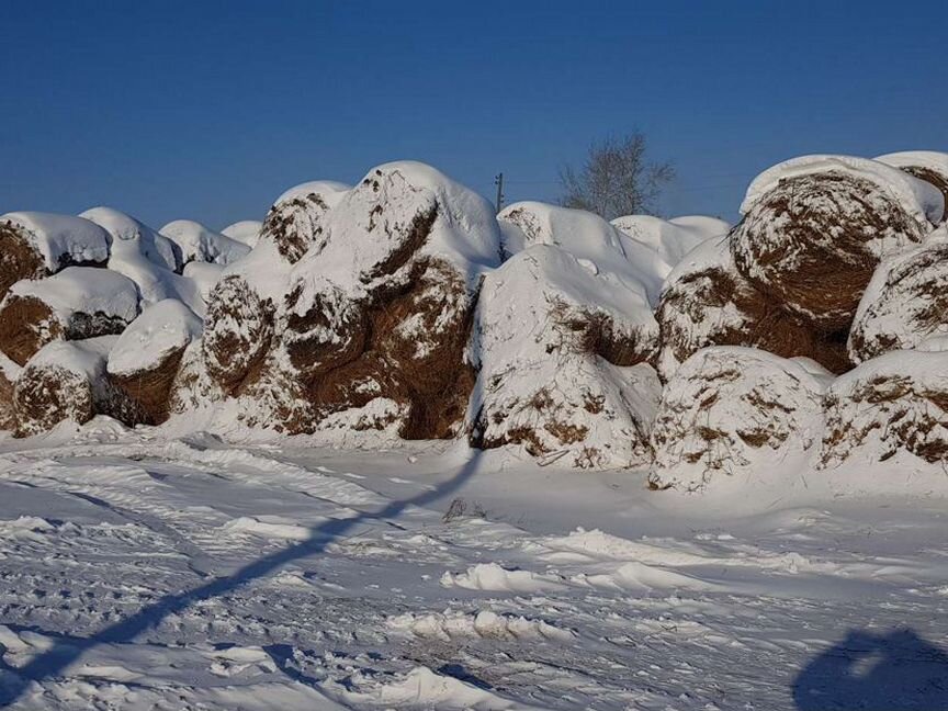 Продам сено в тюках