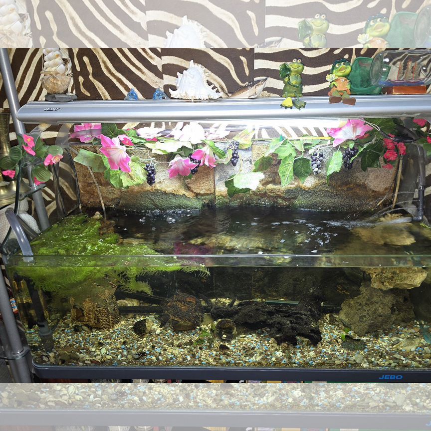 Аквариум с тумбой 250л