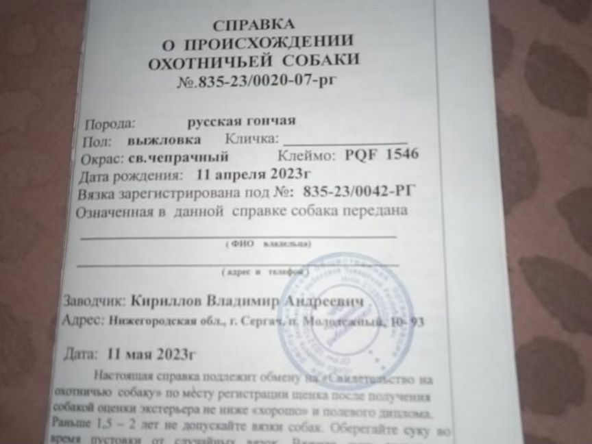 Русская гончая