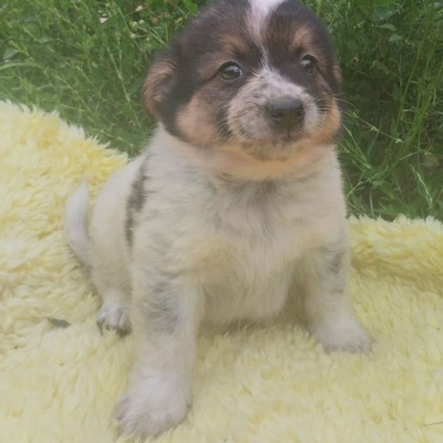 Мальчик