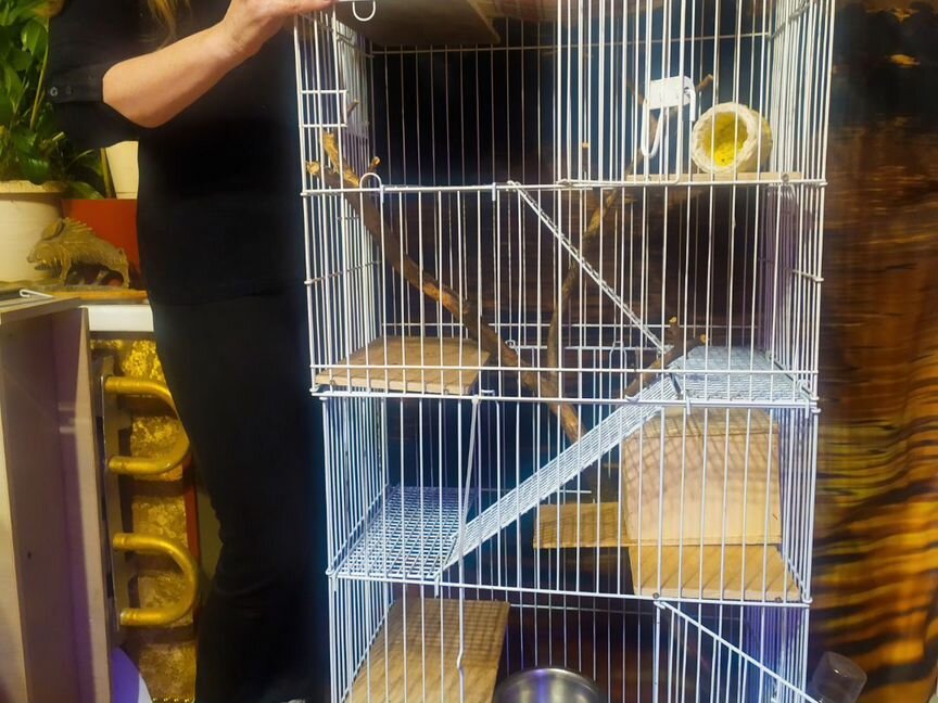 Большая клетка для грызунов