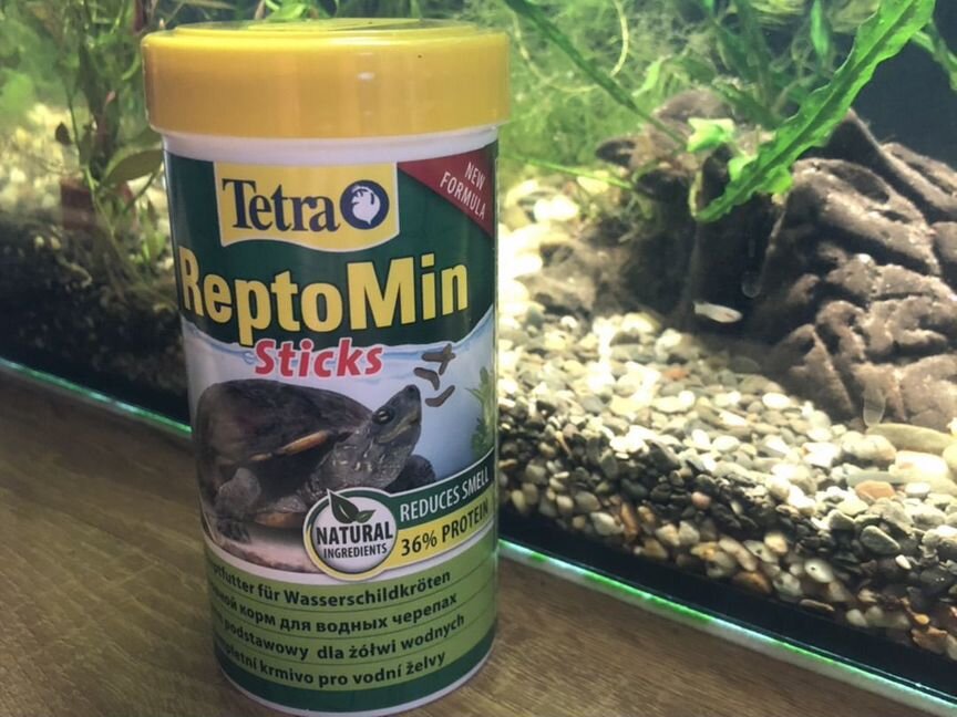 Корм для водных черепах