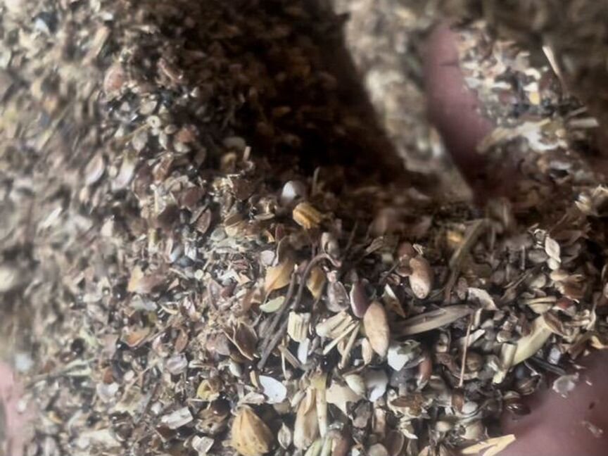 Зерновые отходы