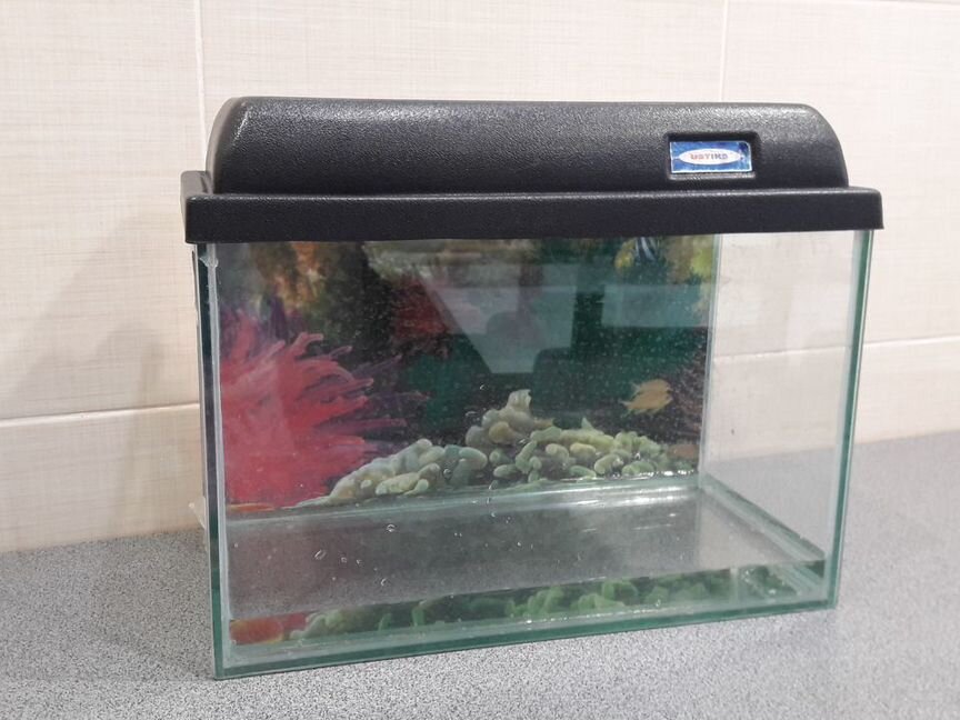 Аквариум 10 литров