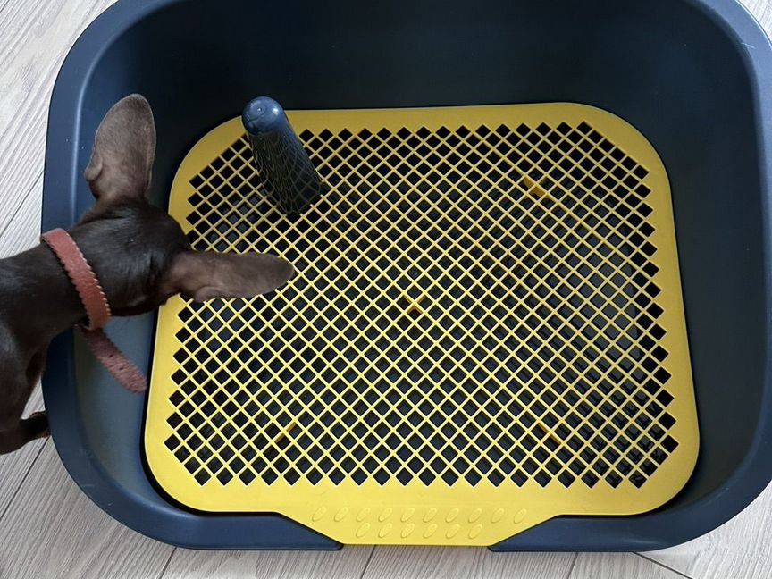 Лоток для собак со столбиком