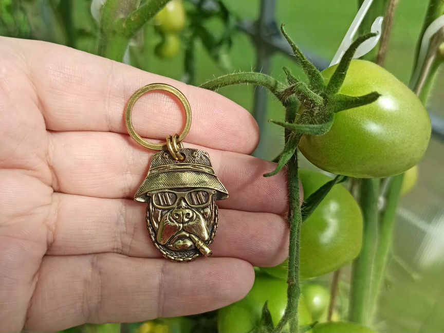 Адресник для собак