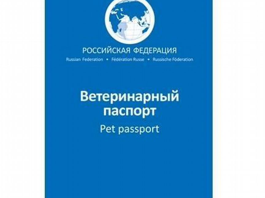 Паспорт авз ветеринарный для животных