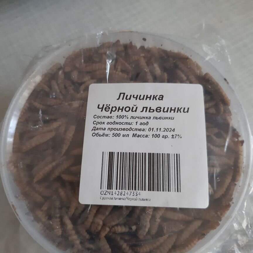 Корм Личинка Чёрной львинки