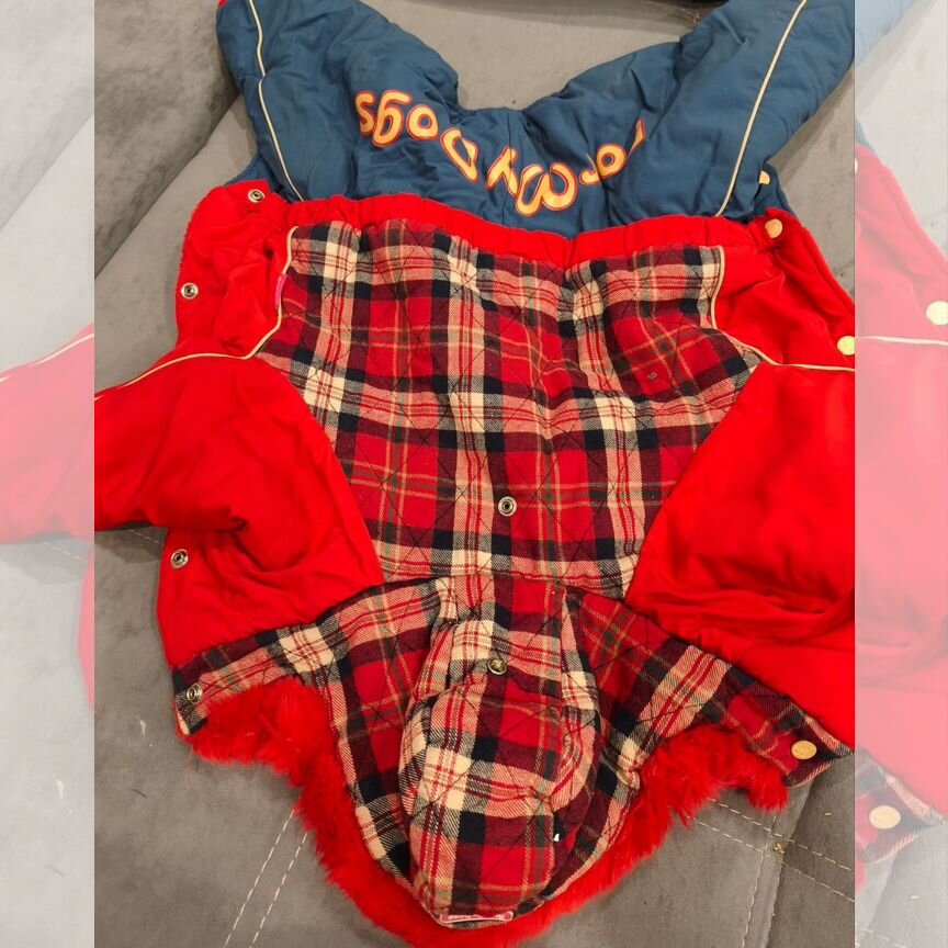 Одежда для маленьких собак