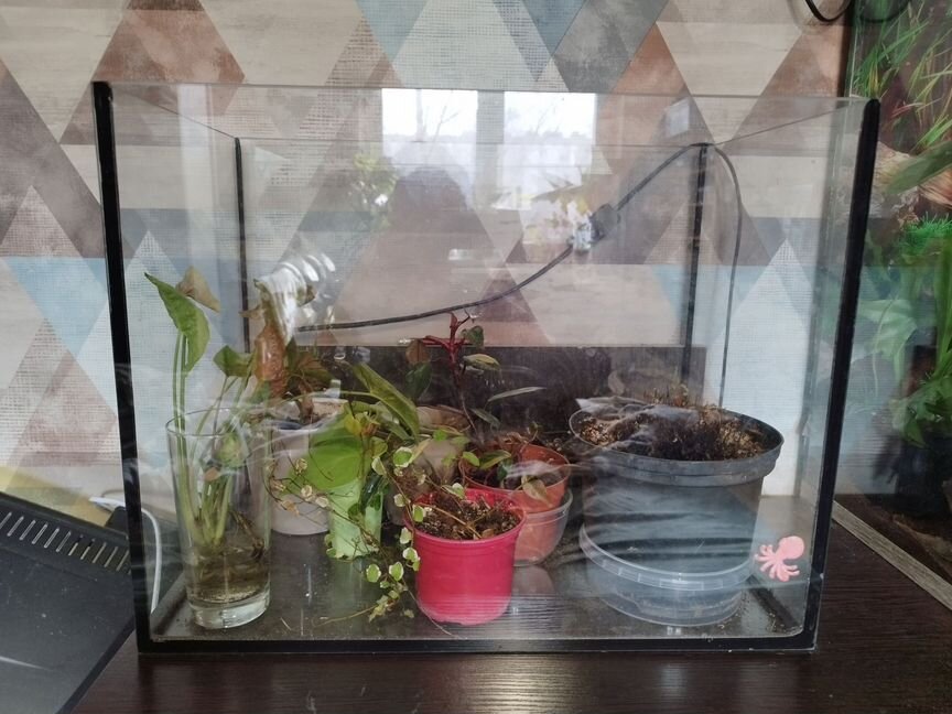 Аквариум 60л