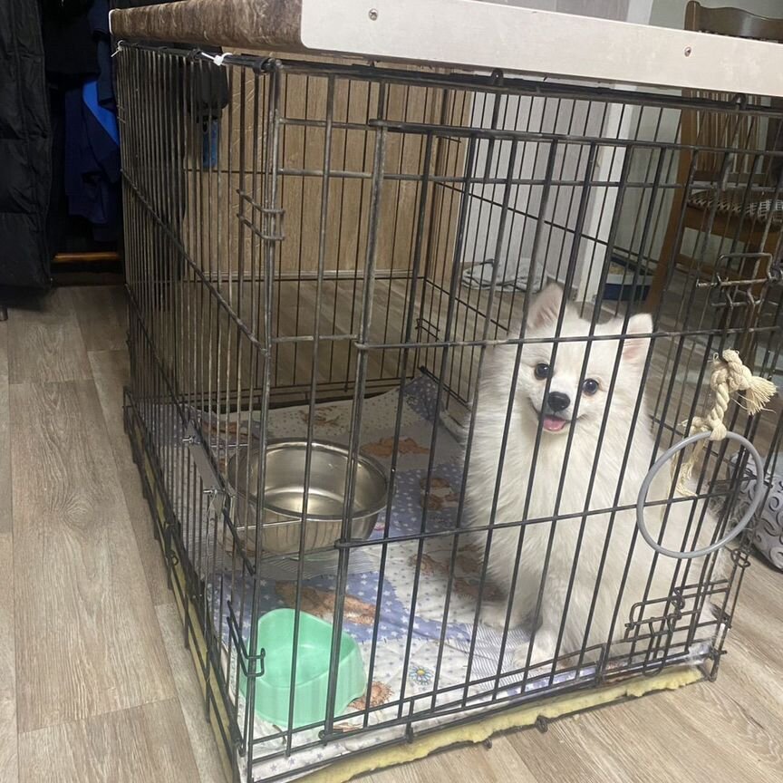 Продам клетку для собаки