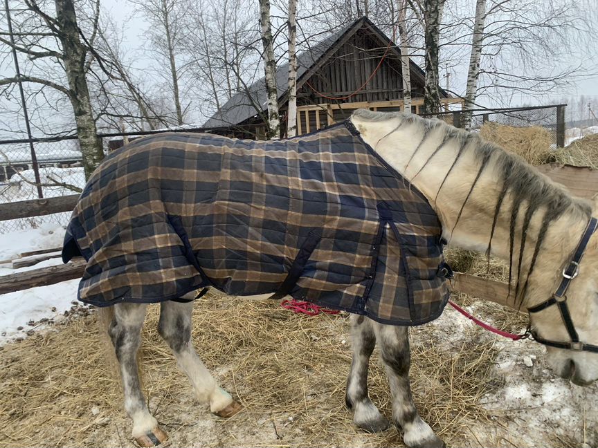 Конная амуниция вальтрапы,седло попоны,бинты, мех