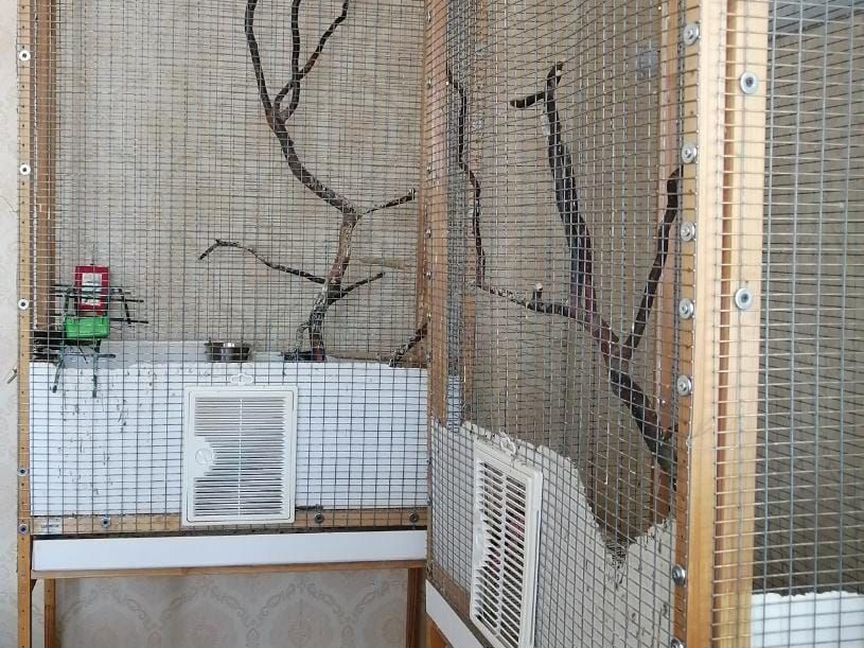 Вольер для попугая