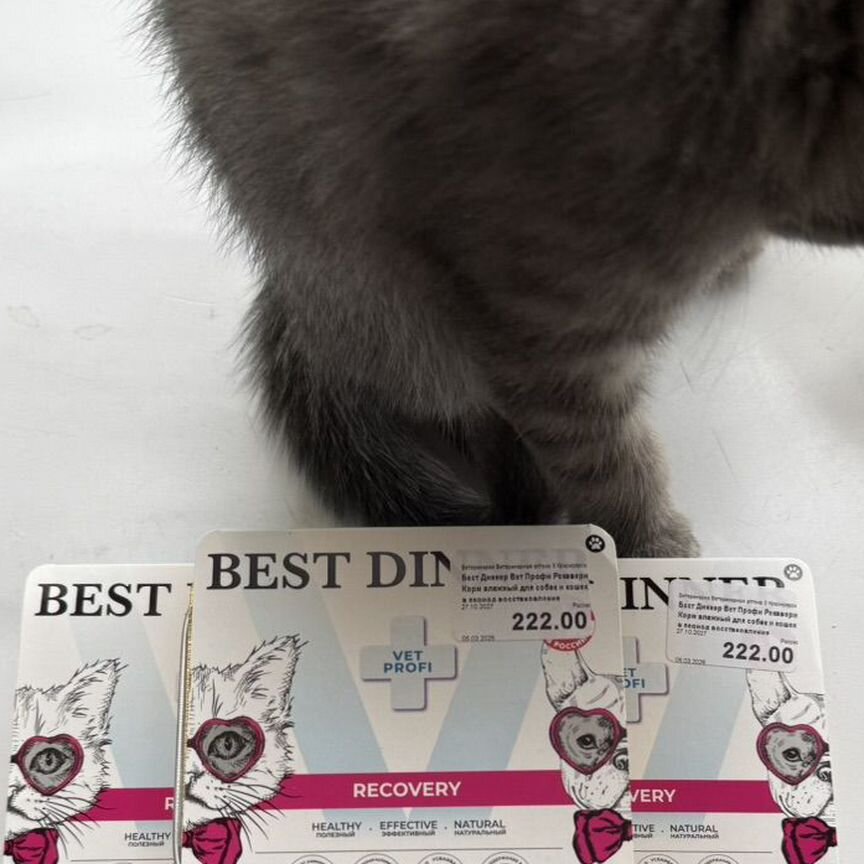Корм для кошек best dinner recovery