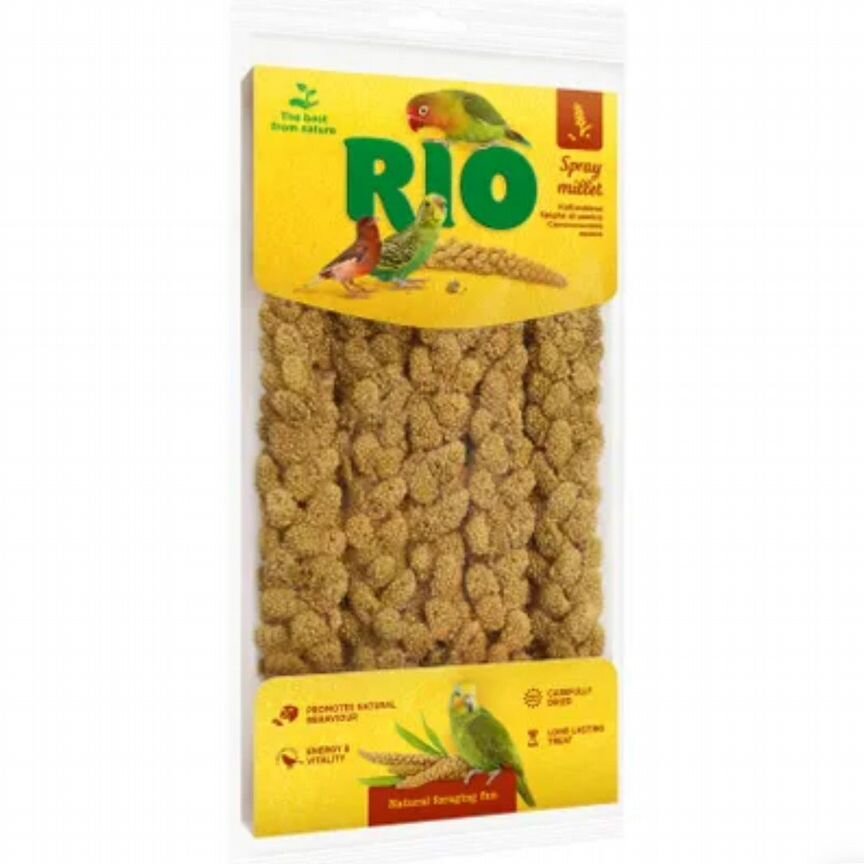 Сенегальское просо в колосьях