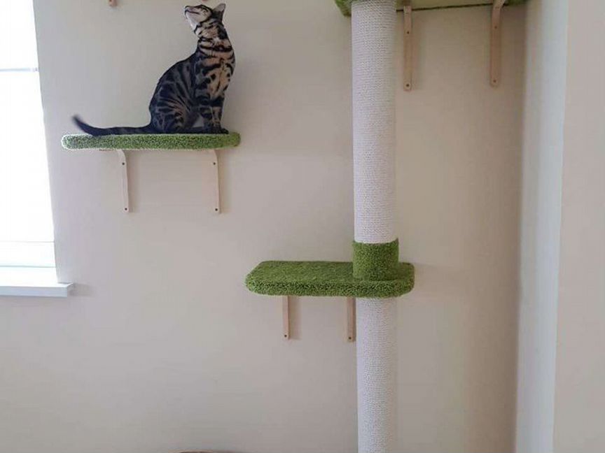 Когтеточка паркур для Котэ