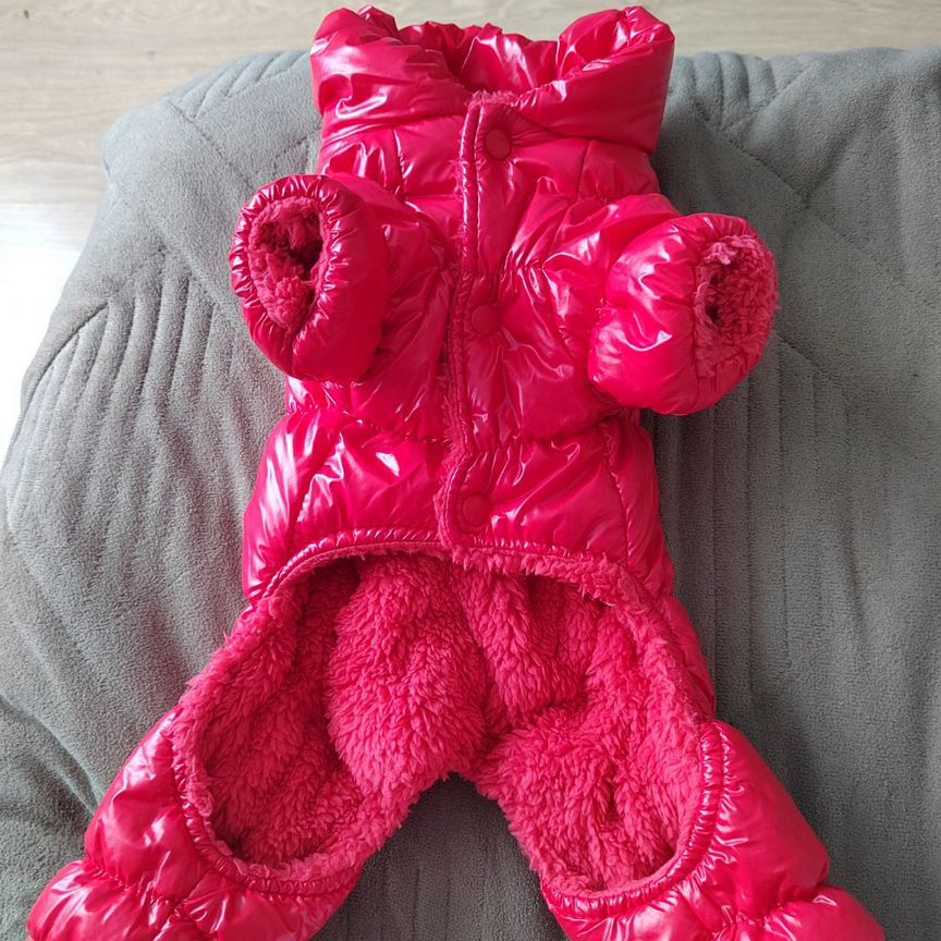 Комбинезон для маленькой собаки