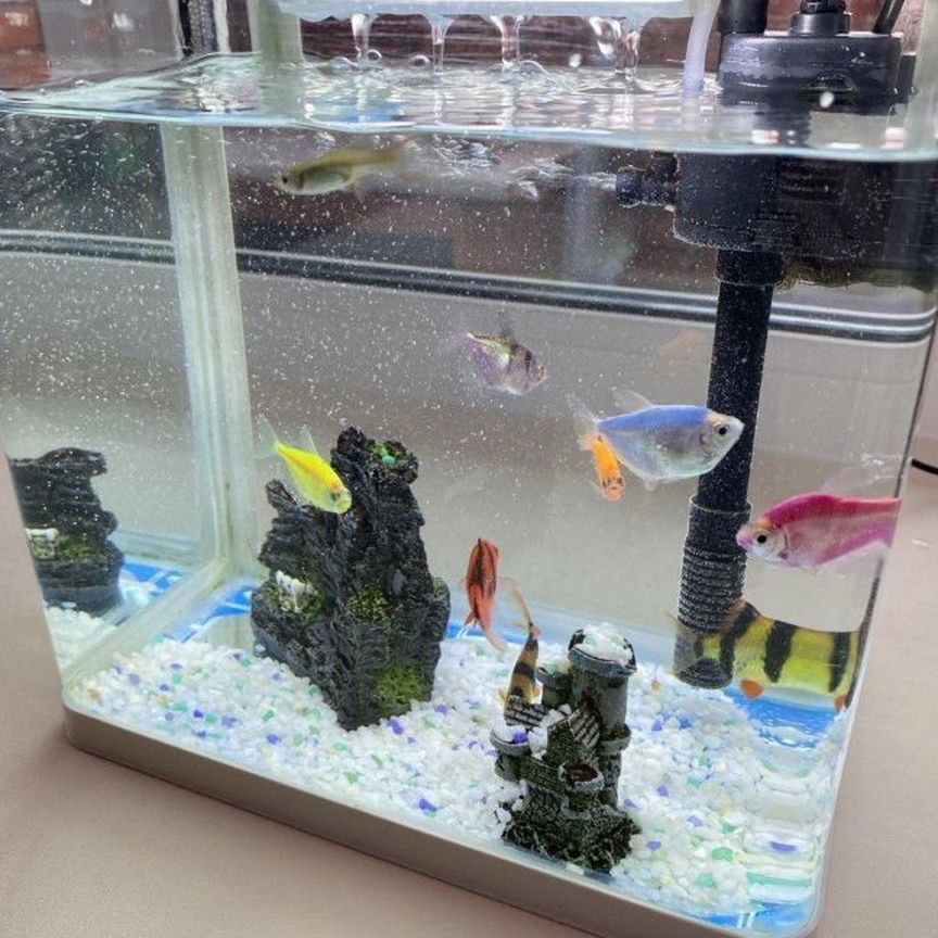 Аквариум с рыбками