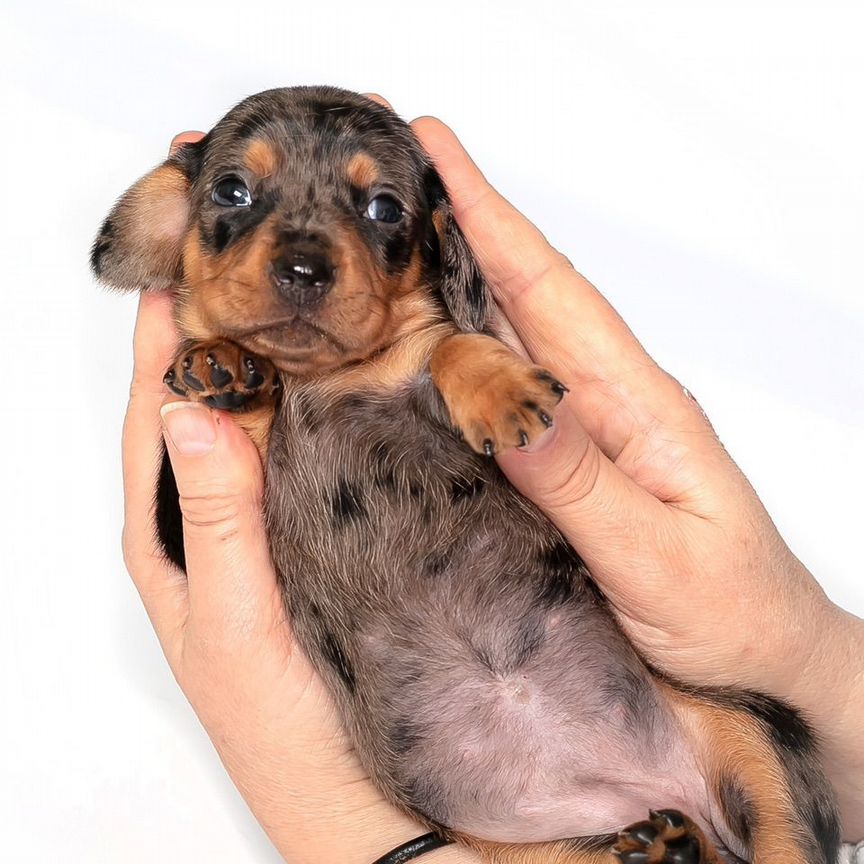 Мраморная девочка