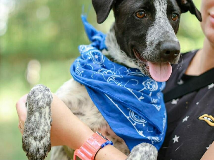 Малышу нужна ласка забота и любящая семья