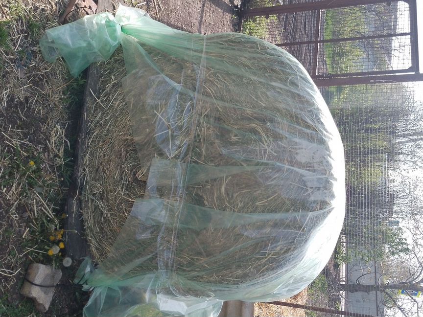 Сено для коз коров