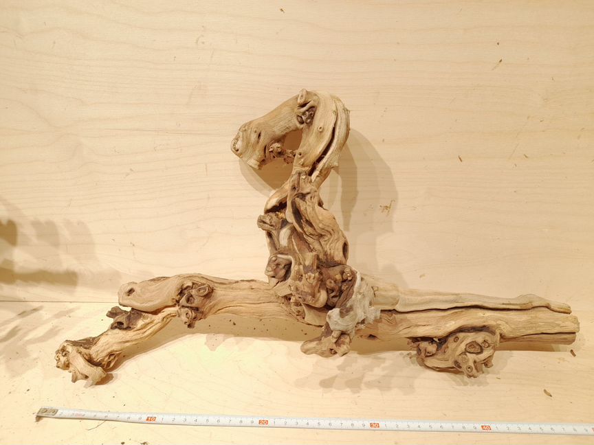 Коряги