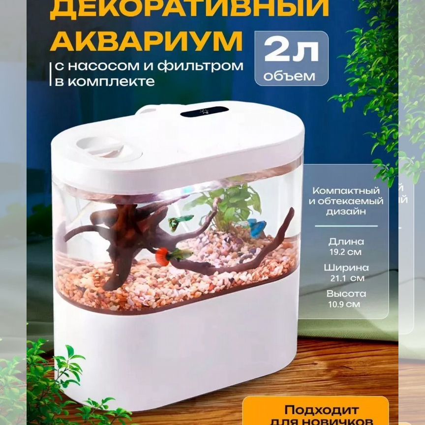 Аквариум