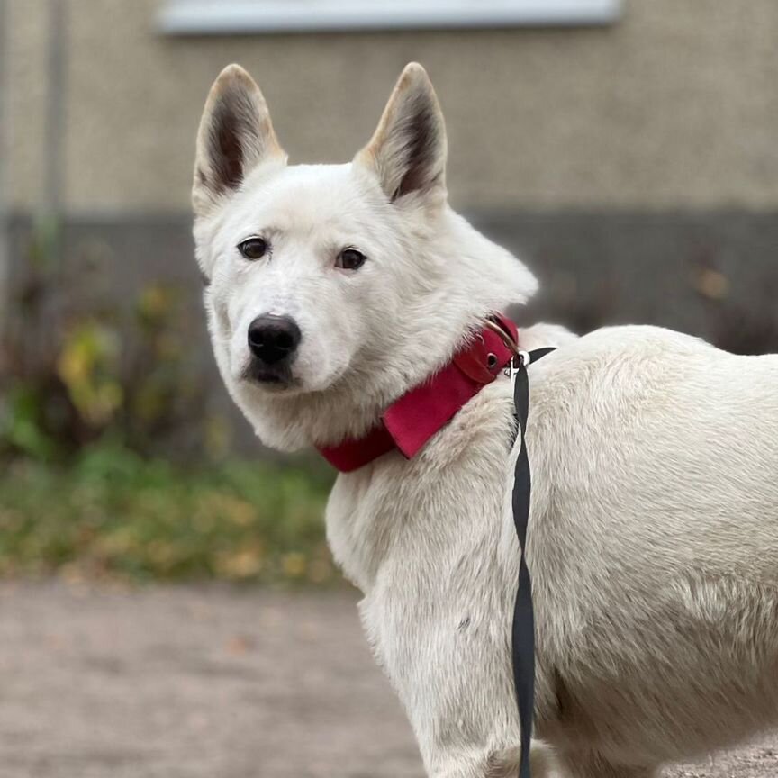 Ищем мам, пап