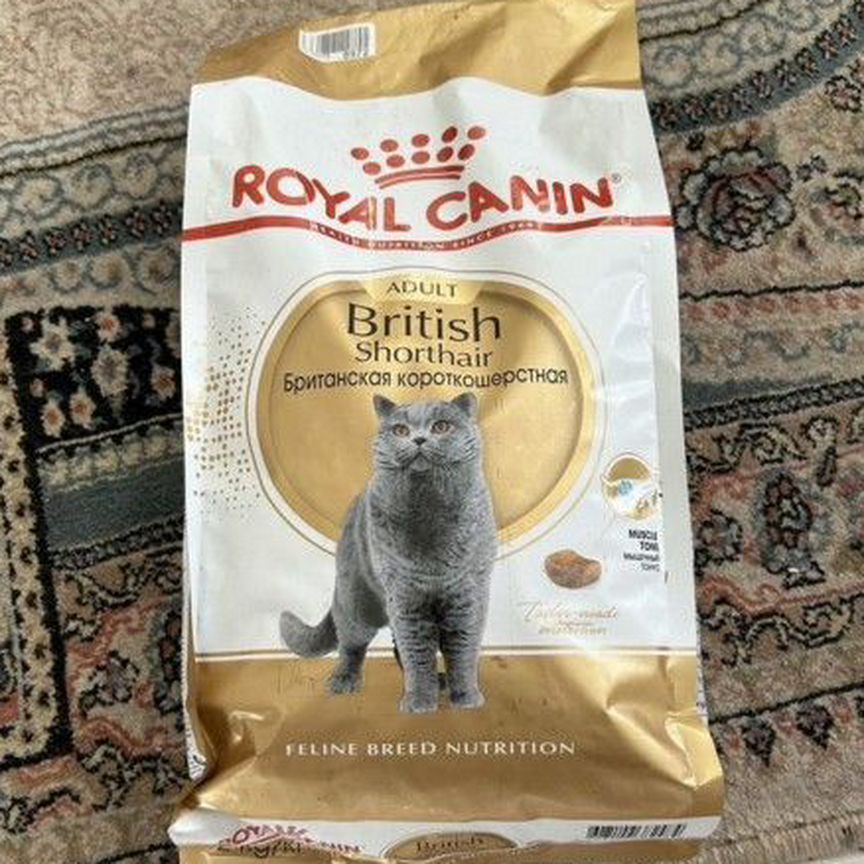 Корм для кошек royal canin british