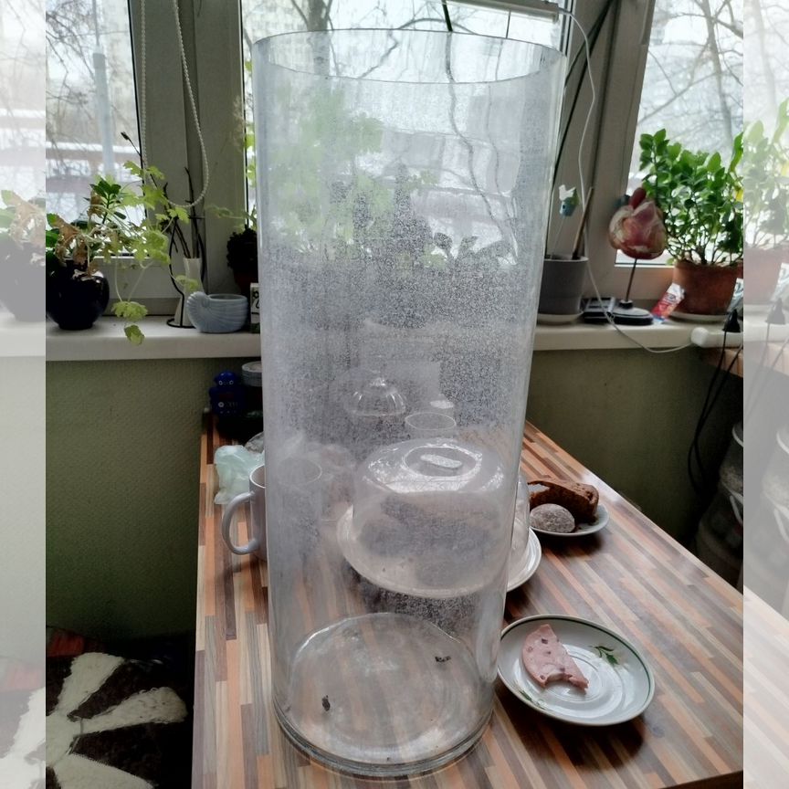 Аквариум вертикальный колба