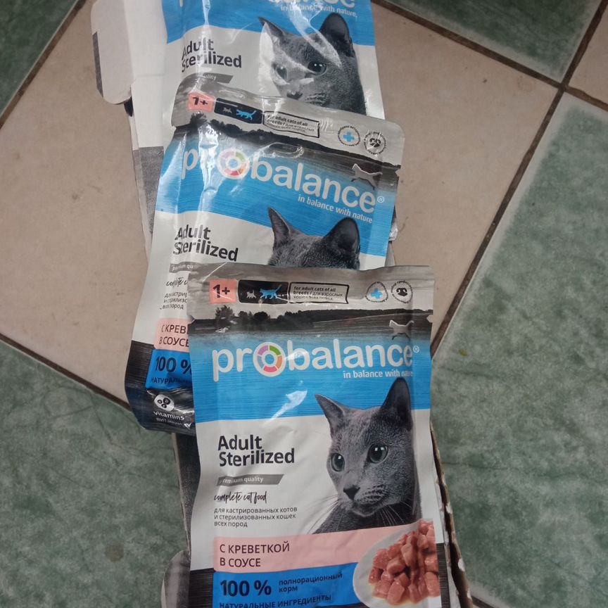 Корм для кошек влажный probalance