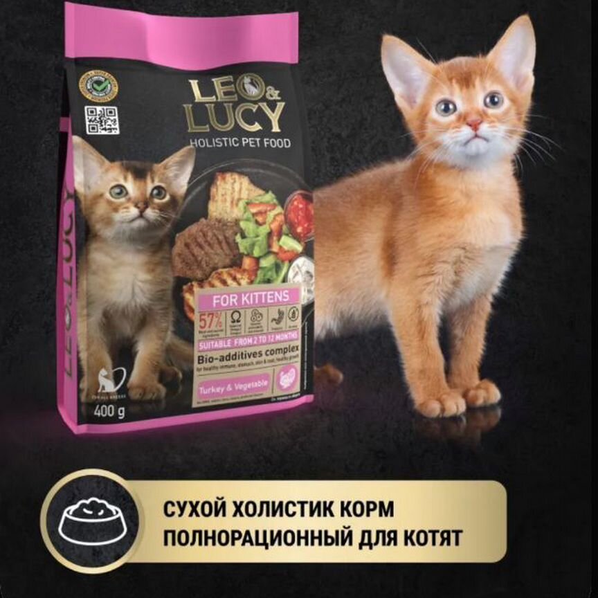 Корм для котят сухой