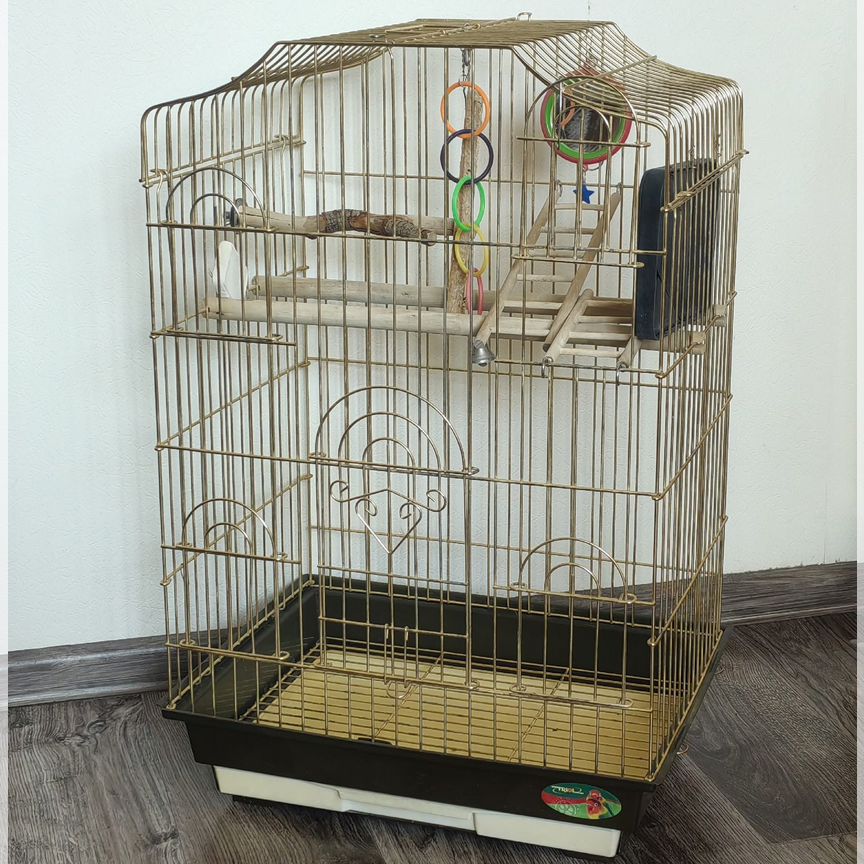 Клетка для среднего попугая
